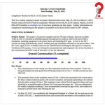 5+ Free Sample Weekly Report Template To Management | HowToWiki